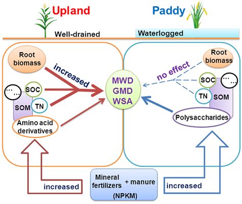 Conceptual Model Of Differences In The Response Of Aggregate Stability