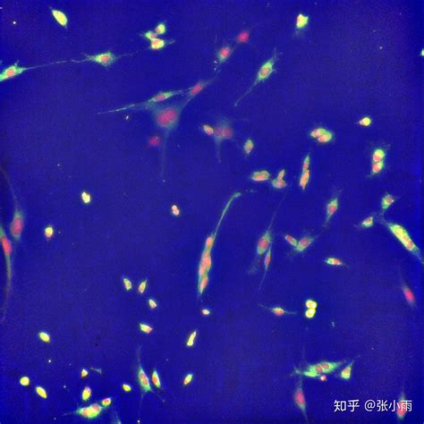 Plt 图片按像素尺寸保存并消除白边 知乎