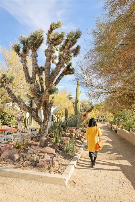 Springs Preserve Las Vegas What You Need To Know Before You Go