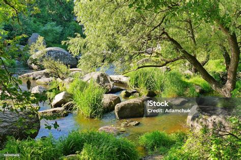가 길에 배경으로 그린 나무와 숲의 돌 바위 주위 흐르는 작은 급속 한 강 0명에 대한 스톡 사진 및 기타 이미지 0명 강 경관 Istock