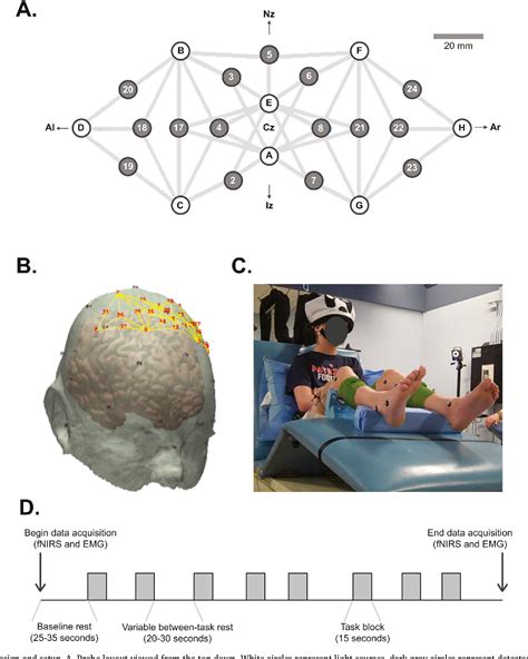 Figure From Relationship Between Sensorimotor Cortical Activation As Assessed By Functional