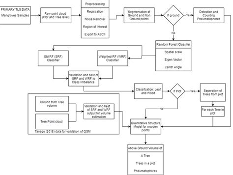 Methodology Of The Steps Involved In Estimating Above Ground Volume Of Download Scientific