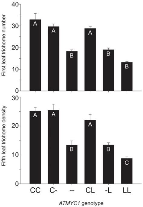 Genetic Complementation Test Results To Test For Genetic Download