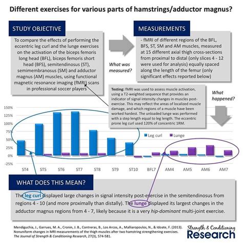 Hip Extensor Training Diagrams And Graphs