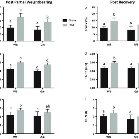 Distal Femur Cancellous Bone Mass And Microarchitecture Microcomputed Download Scientific