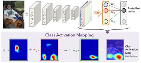 Class Activation Mapping The Estimated Class Score Is Mapped Back To