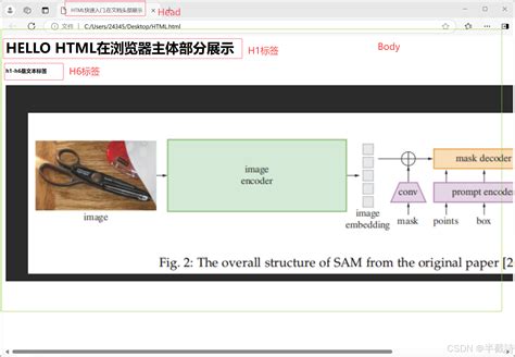 Javaweb学习 Day1html学习 Csdn博客
