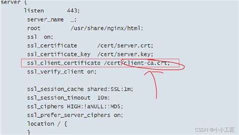 pki 借助nginx实现 客户端使用ca根证书签发客户端证书 csdn博客