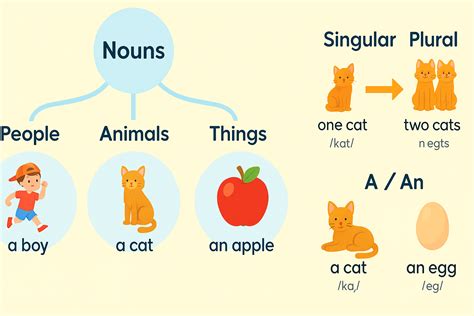 Basic Grammar Lesson 2 Pronouns Focas English