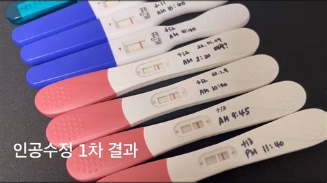 인공수정 브이로그 인공수정 1차 결과 Youtube
