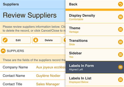 Code On Time Touch UI Settings Labels In Form