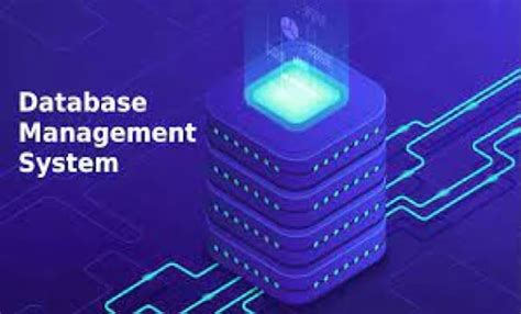 take database management system sessions dbms by aarushigoyal913 fiverr