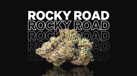 Rocky Road Strain Effects Potency And Terpene Profile MÜv