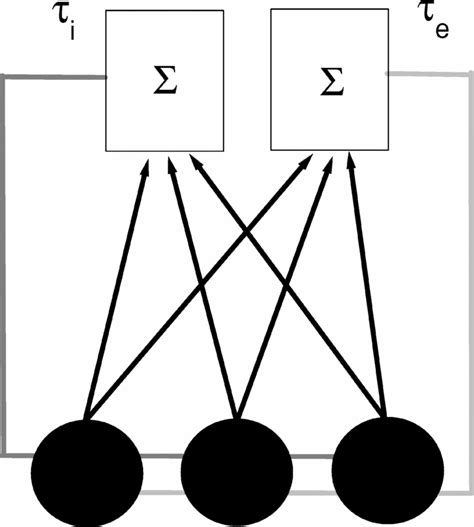 Circuit Diagram Of Our Model Each Neuron Is Represented By A Circle Download Scientific