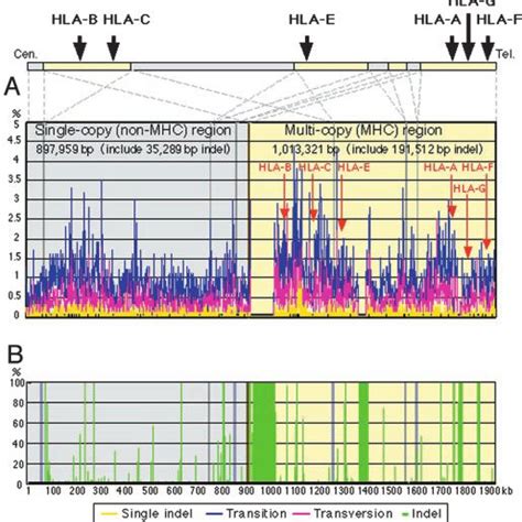 Differences In The Coding Genes Between Human And Chimpanzee Sequence