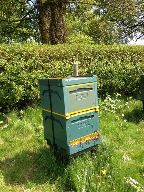 Img0812 Fleet And District Beekeepers Association