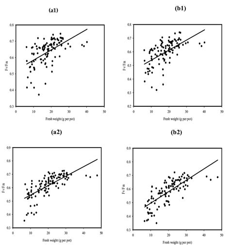 Linear Regression Of The Maximum Quantum Photosystem Ii Fvfm On