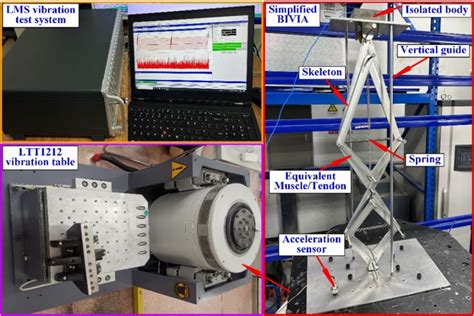 The Experimental Setup Of The Simplified Bivia Structure Download Scientific Diagram
