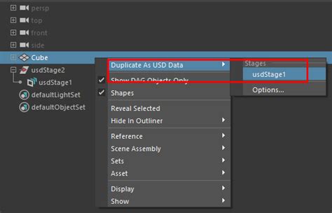 Scripting Duplicate As Usd Data In Python Autodesk Community