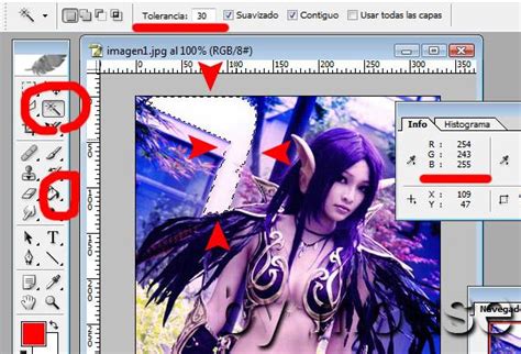 Mouse Procesamiento De Imágenes En Java2d Los Colores