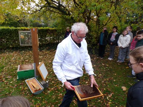 Auszug Des Bienenvolks Clemensschule Wesuwe Offene Ganztagsschule