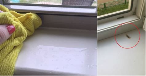 Чем отмыть пластиковый подоконник