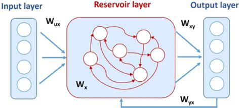 Echo State Networks Workings Significance And Limitations