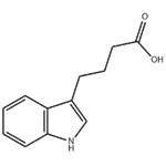 The Versatile Role Of A Plant Growth Regulator An Overview Of Indole 3