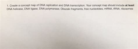 Solved 1 Create A Concept Map Of DNA Replication And DNA Chegg Com