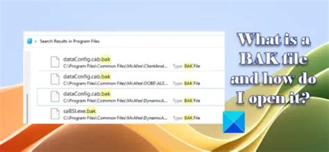 What Is A Bak File And How Do I Open It In Windows