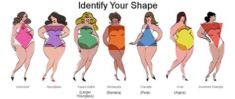 What Is My Plus Size Body Shape 12 Body Types To Choose From Chic