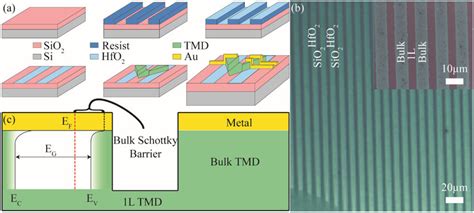 A Process Schematic Of Lithographically Patterned Hfo2sio2 Strips