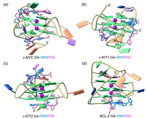 Molecular Insights Into The Specific Targeting Of C Myc G Quadruplex By Thiazole Peptides