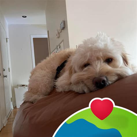 English Montreal School Board Were Proud To Partner With Beneva Through Our Partnership