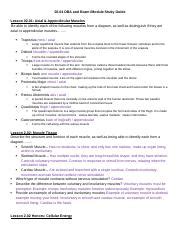 Module DBA Exam Review Docx DBA And Exam Module Study Guide Lesson Axial