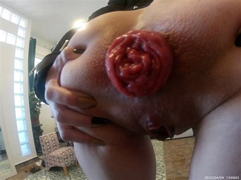 Rosebud 026 P1nchbeck