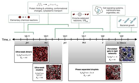 Ultra Weak Ppis Below Current Detection Limits Can Produce Transient