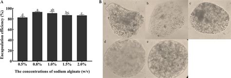 Preparation Of Trichoderma Asperellum Microcapsules And Biocontrol Of Cucumber Powdery Mildew Pmc