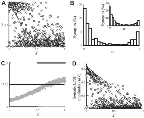 The Problem With Spike Timing Dependent Plasticity Stdp In