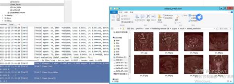 Unet训练验证时，miou为0，precission为0，recall为0，kappa为0。 · Issue 2755 · Paddlepaddlepaddleseg · Github