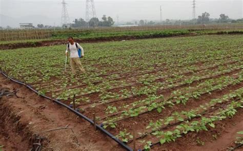 A Sustainable Model For Water Saving Irrigation In Yuanmou County