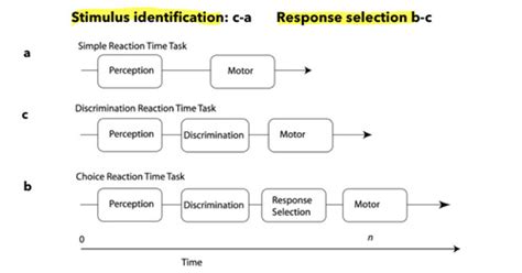 Information Processing Flashcards Quizlet