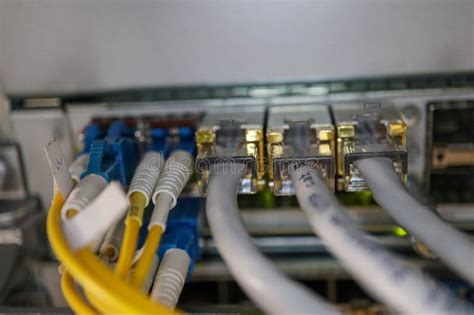 Network Hub Switch And Patch Cables With Lights Stock Image Image Of