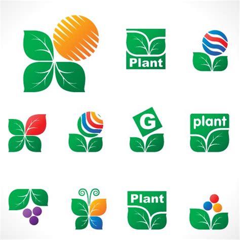 Natural Herbal Logo Green Leaf Royalty Free Vector Image