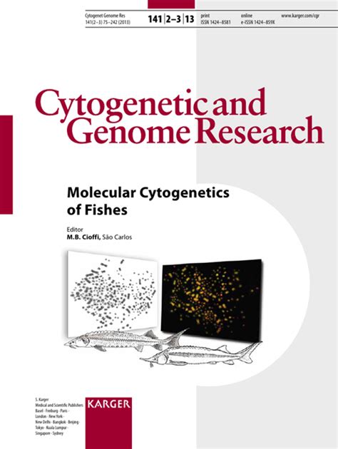 Evolution Of The Sex Chromosomes In Salmonid Fishes Cytogenetic And
