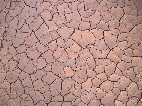 Sol Argileux Marie Claire