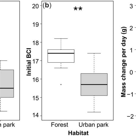 box and whisker plots showing the initial body mass a and initial bci