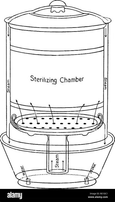 How Does A Steam Sterilizer Work At Linda Redmon Blog