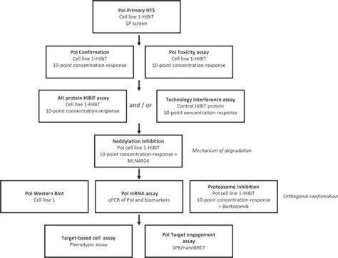 Meng Wu On Linkedin Characterisation Of High Throughput Screening Outputs For Small Molecule…