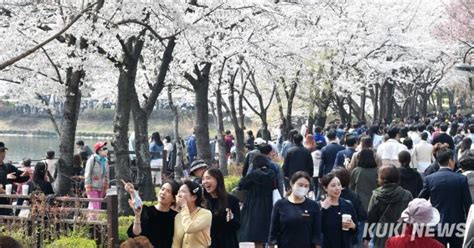 ‘봄봄봄 송파구 호수벚꽃축제 개최